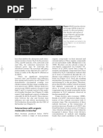 Ube Production Guide | PDF | Mulch | Fertilizer