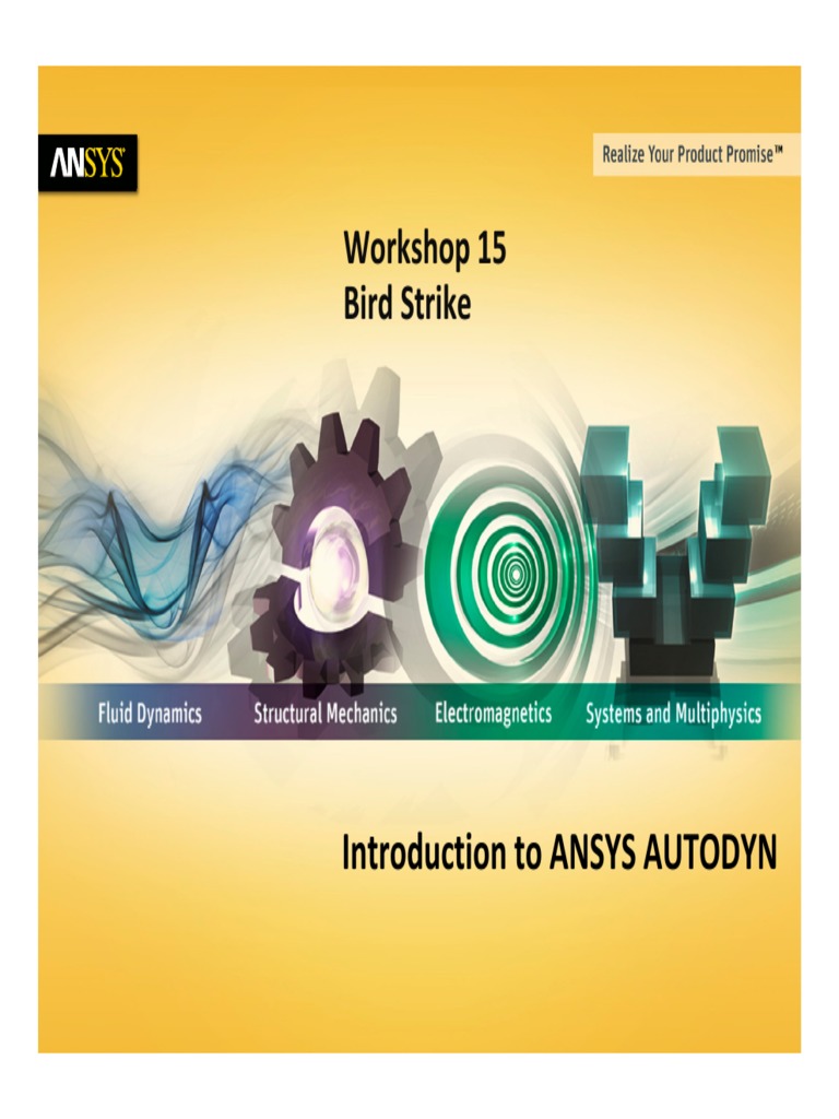 Autodyn 14.0 Ws15 Bird Strike | PDF | Areas Of Computer Science | Software