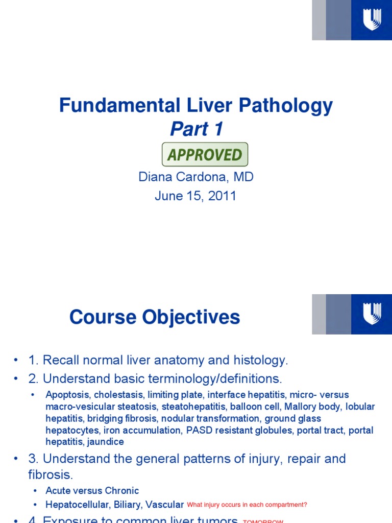 06.15.1 Liver Pathology Final PDF | PDF | Hepatitis | Liver