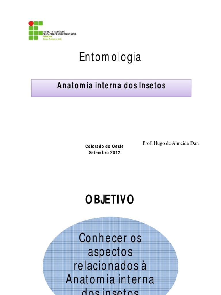 Anatomia Interna dos Insetos | PDF | Insetos | Sistema nervoso