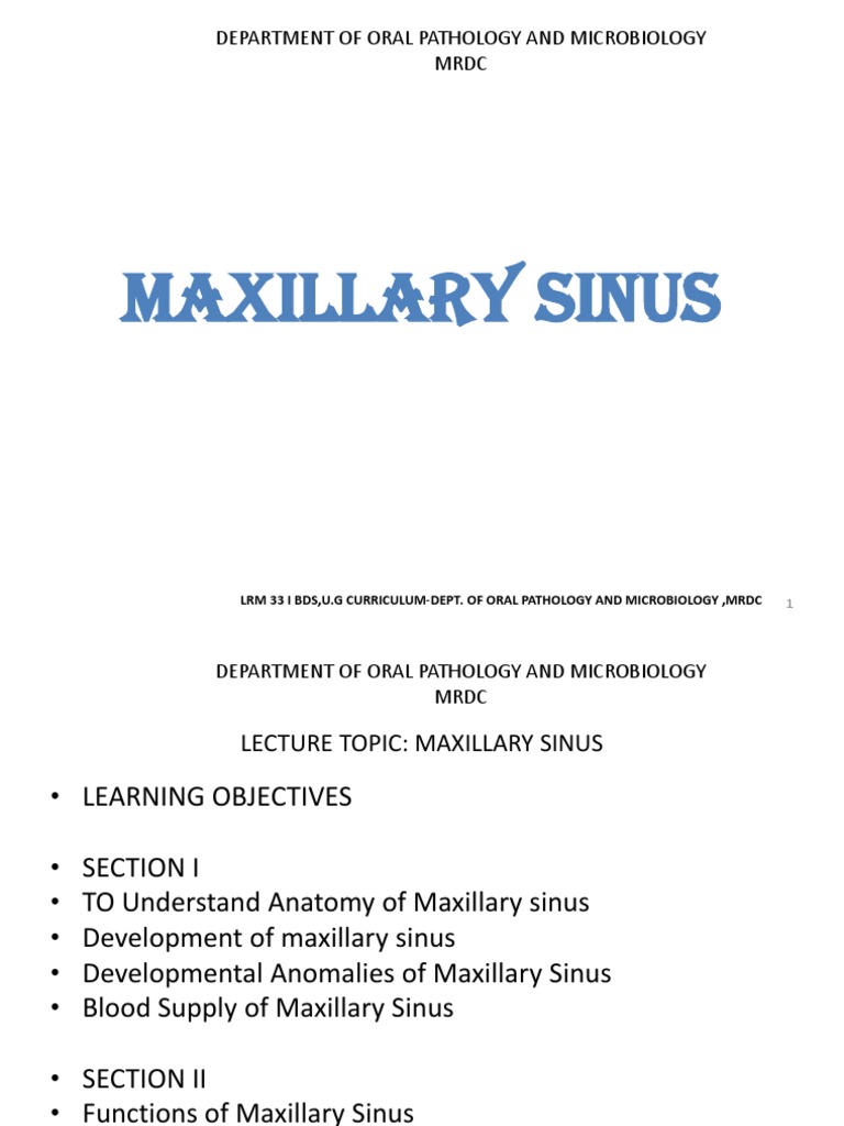 Maxillary Sinus Anatomy and Histology | PDF | Epithelium | Anatomy