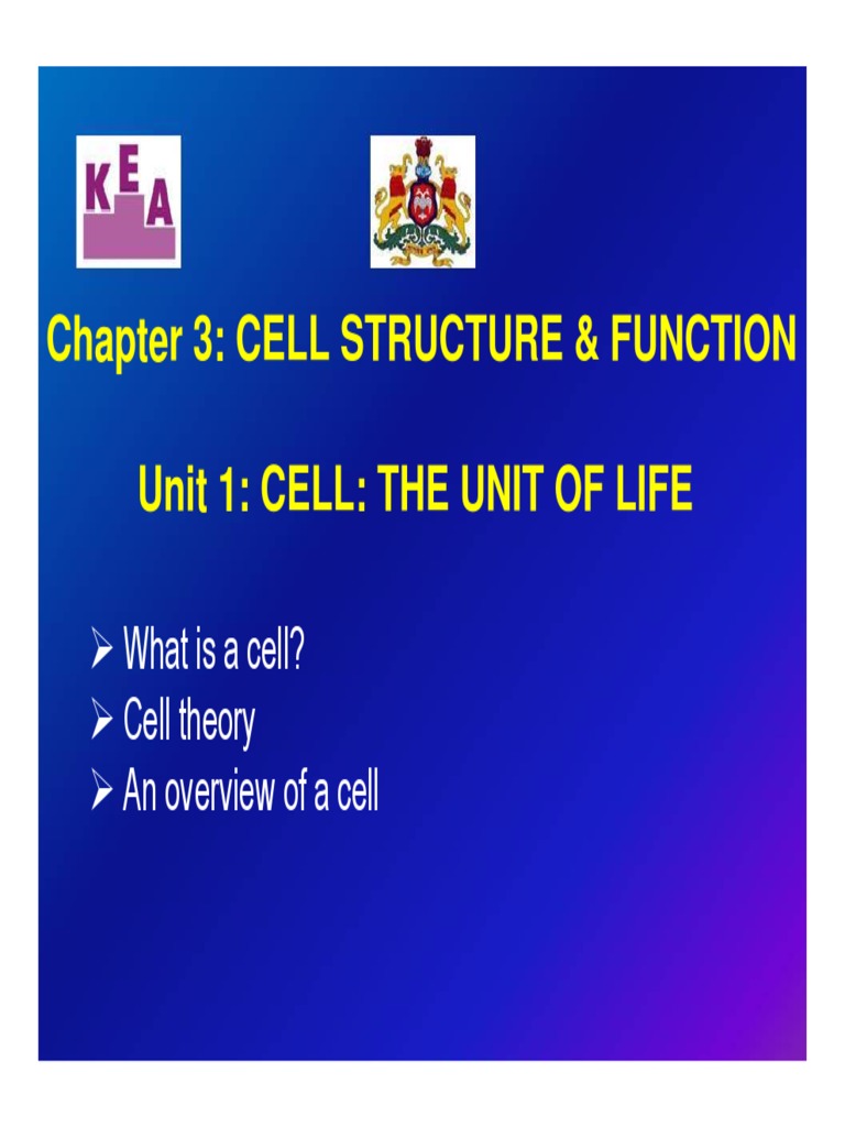 Chapter 3: Cell Structure & Function Unit 1: Cell: The Unit of Life ...