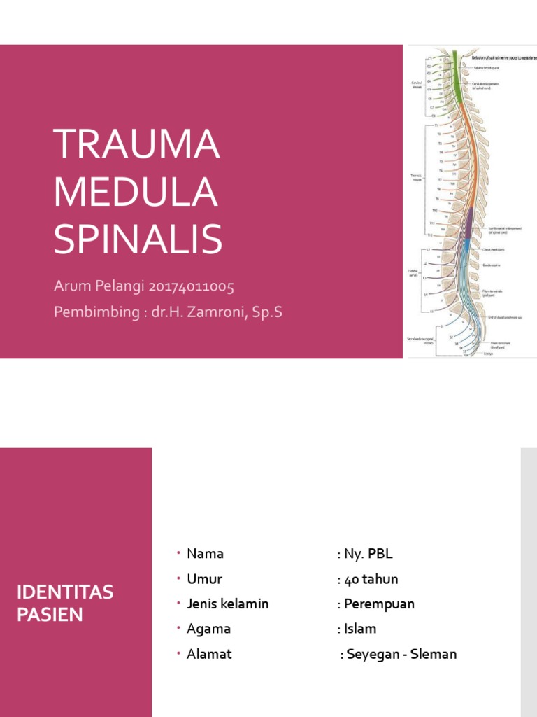 Trauma Medula Spinalis | PDF