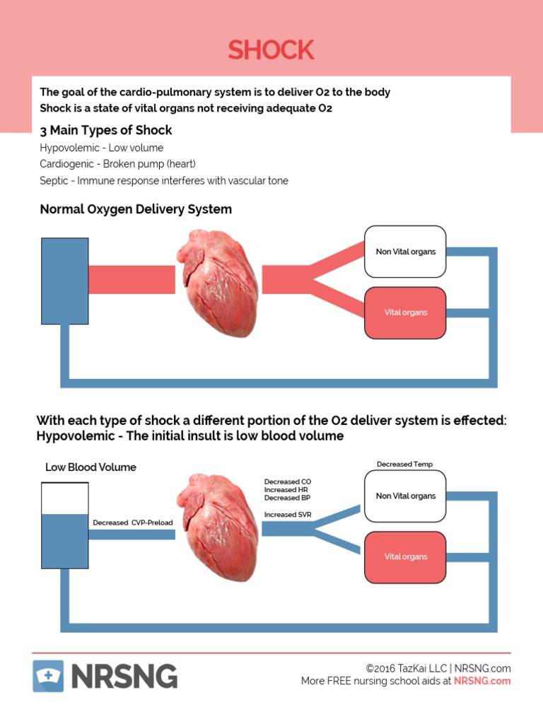 Shock Cheat Sheet PDF | PDF | Shock (Circulatory) | Cardiovascular System