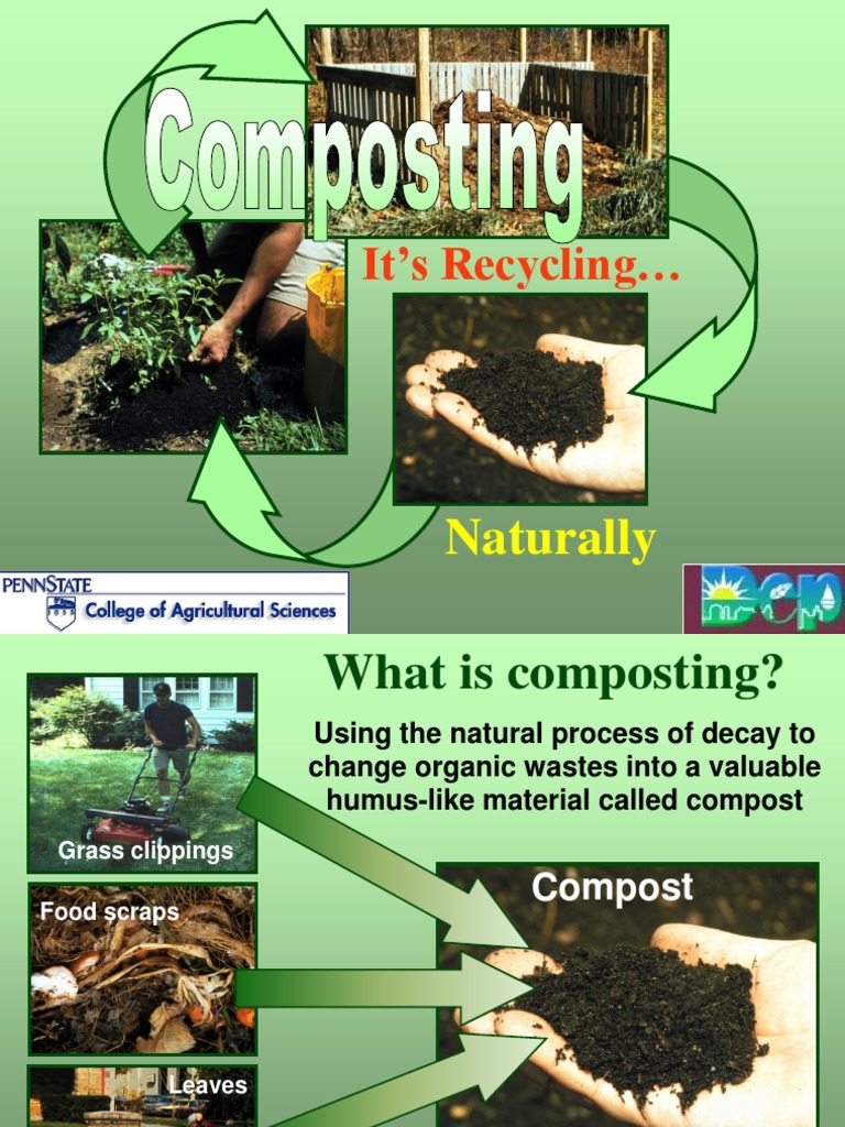 It's Recycling : Naturally | PDF | Compost | Decomposition