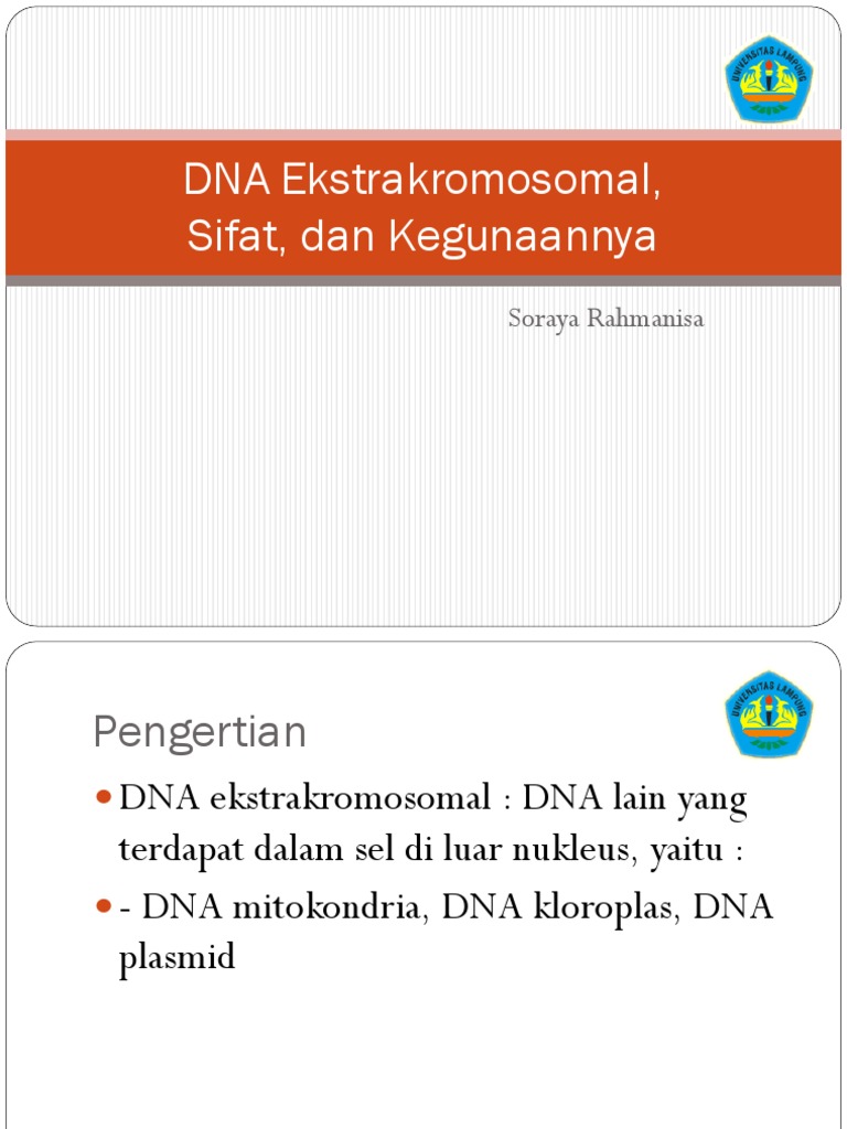 DNA Ekstrakromosomal, Sifat, Dan Kegunaannya: Soraya Rahmanisa ...