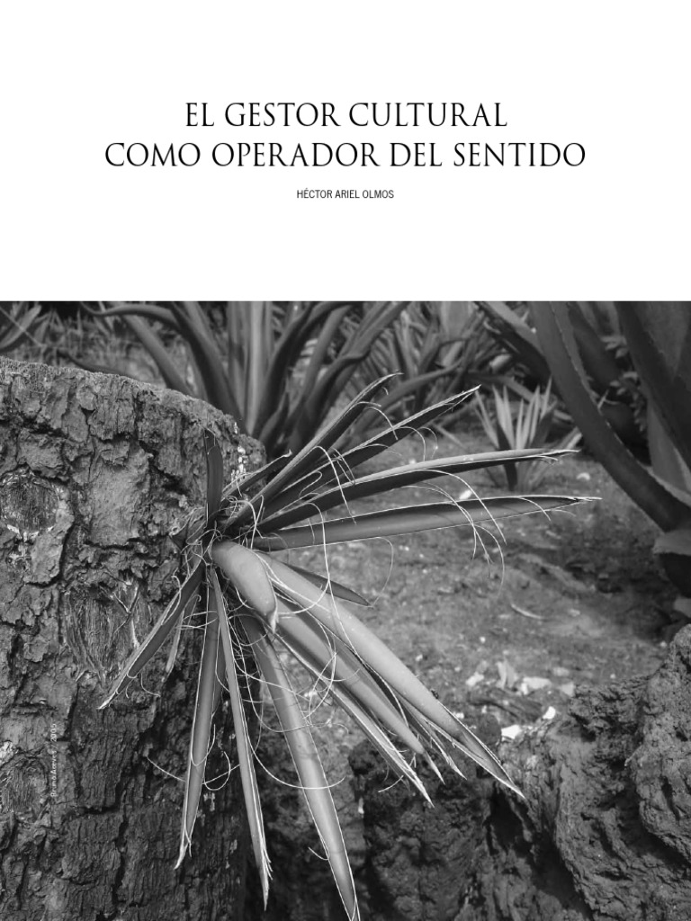 Olmos Hector - El Gestor Cultural Como Operador Del Sentido | PDF ...