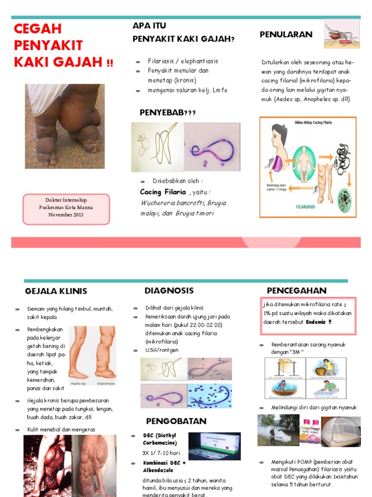 Leaflet Filariasis PDF | PDF