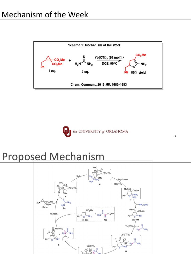 Trimethylmethane Insertion Mechanism | PDF | Organic Chemistry | Chemistry