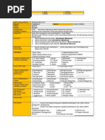 Contoh RPH Ts25 | PDF
