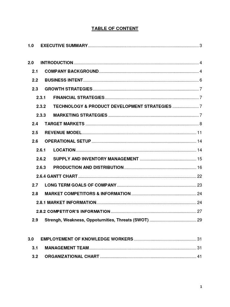 Business Plan Technopreneur | PDF | Retail | Marketing