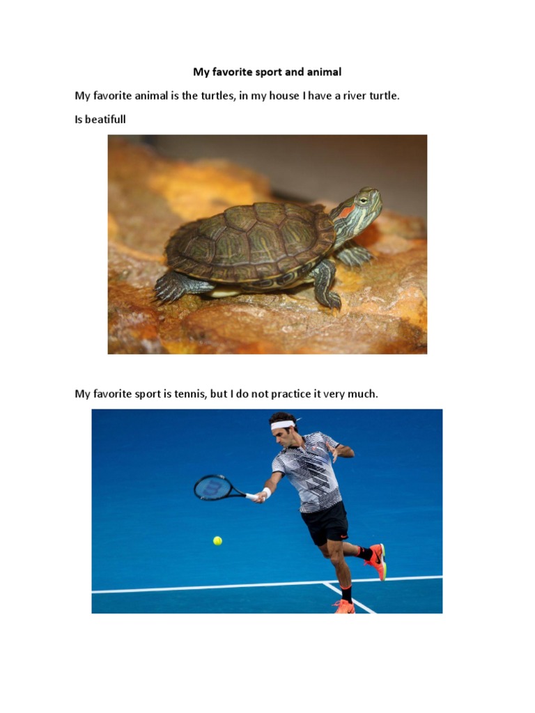 My Favorite Sport and Animal | PDF