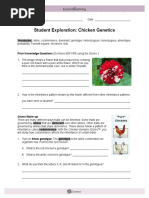 Pigeonetics Game Teacher Guide | PDF | Dominance (Genetics) | Allele