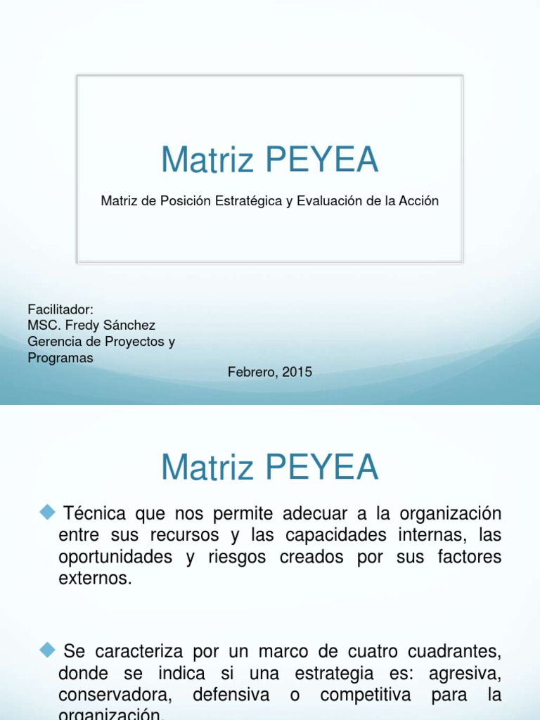 Matriz Peyea | PDF | Producto (Negocio) | Matriz (Matemáticas)
