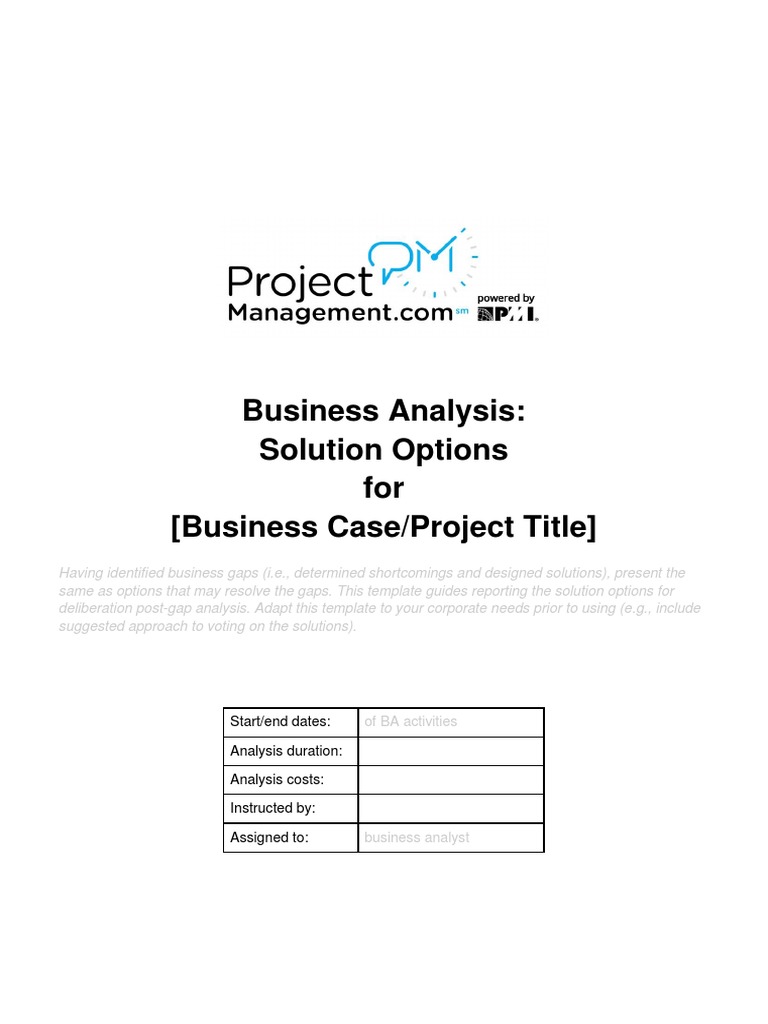 Business Analysis: Solution Options Template | PDF | Business | Art