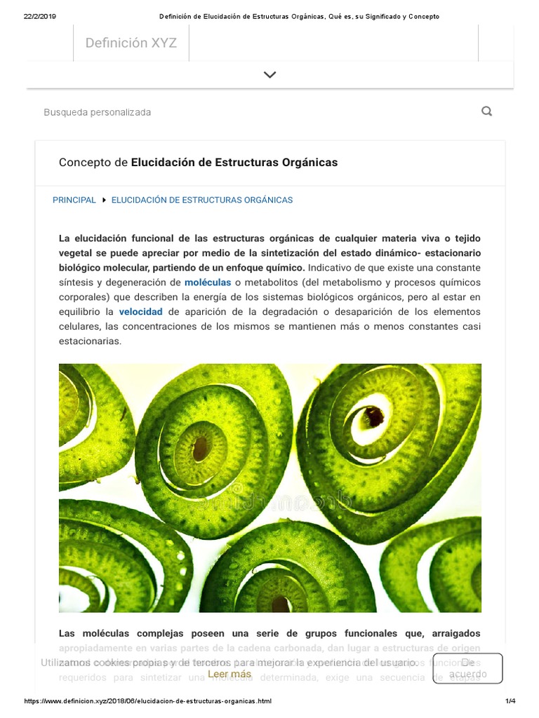 Elucidacion | PDF | Síntesis orgánica | Plantas