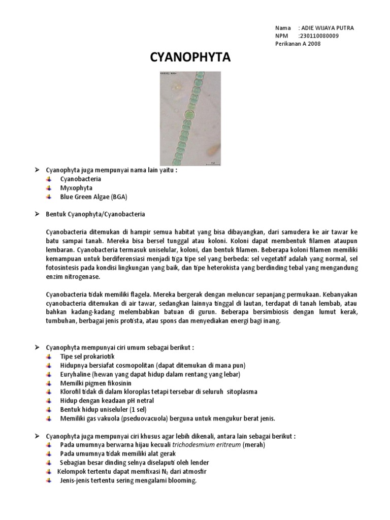 Resume Cyanophyta | PDF
