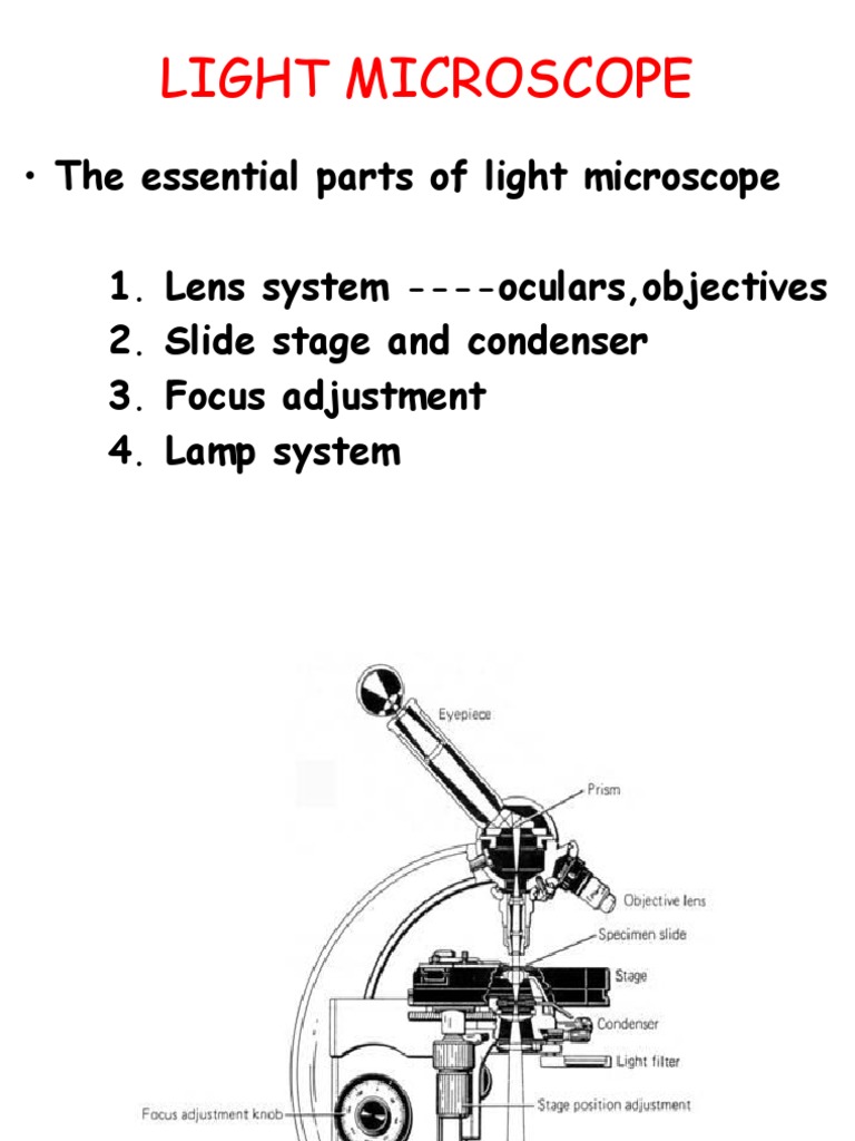 The Essential Parts of Light Microscope | PDF