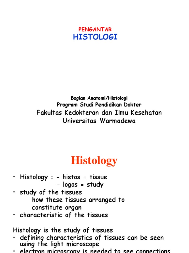 Understanding the Fundamentals: An Introduction to the Four Basic ...