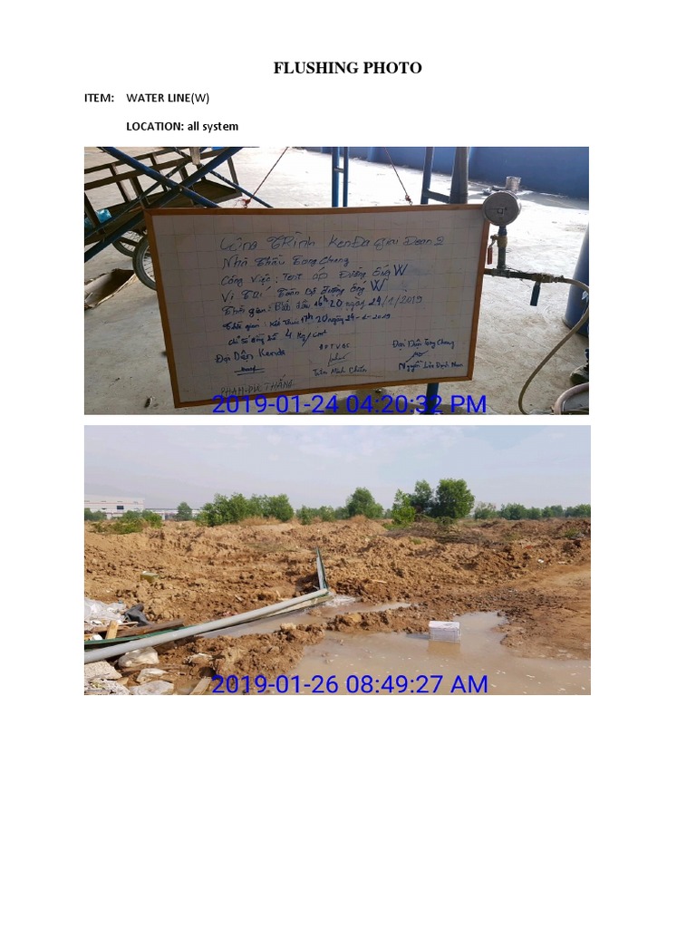 Flushing Photo | PDF