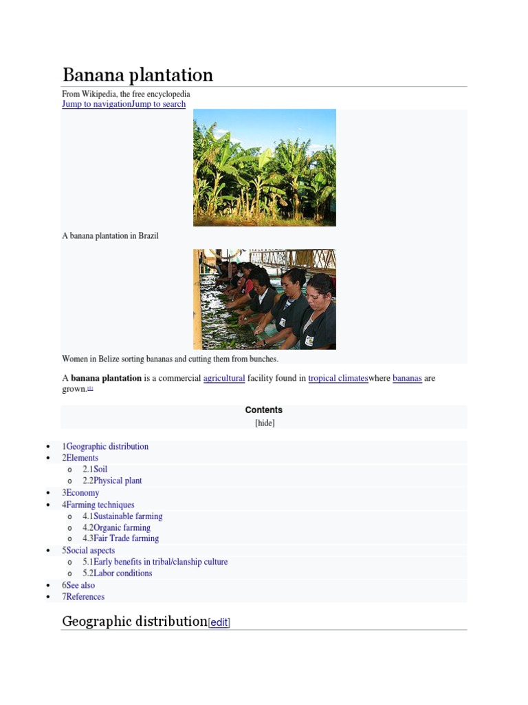 Banana Plantation: Geographic Distribution | PDF | Natural Environment ...