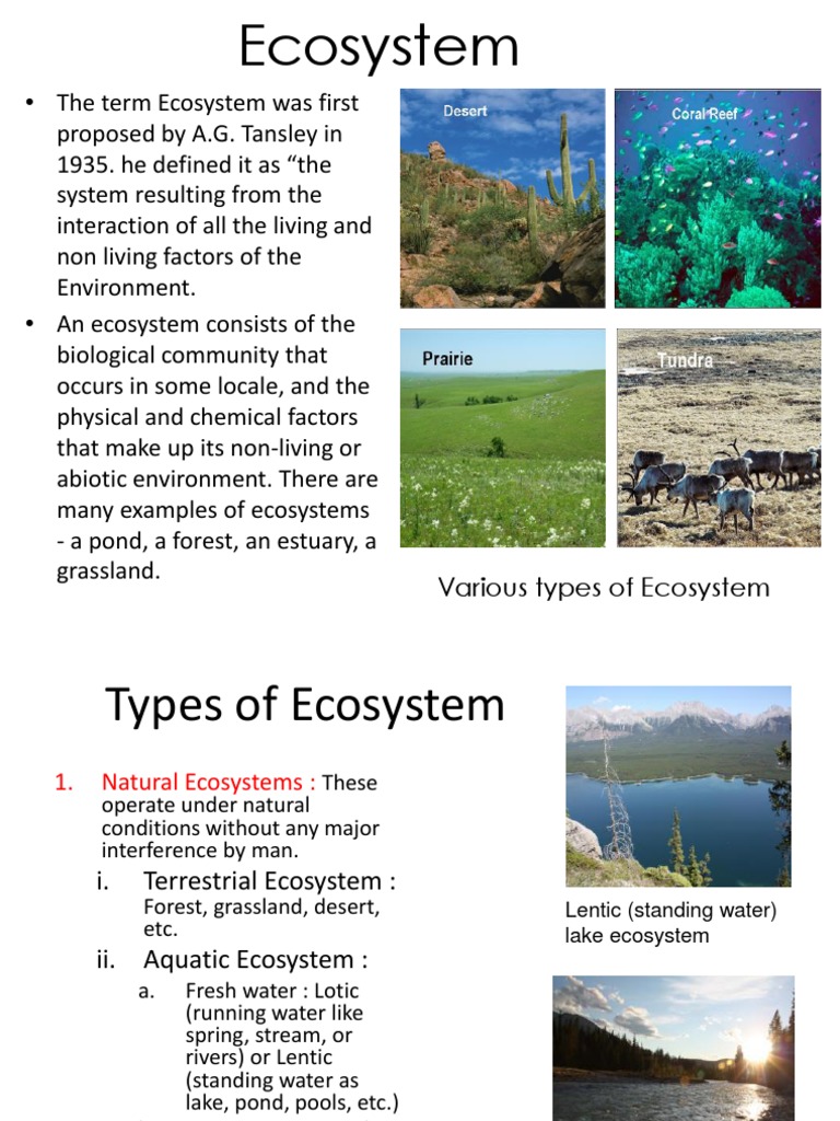 Ecology and Ecosystem | PDF | Food Web | Aquatic Ecosystem