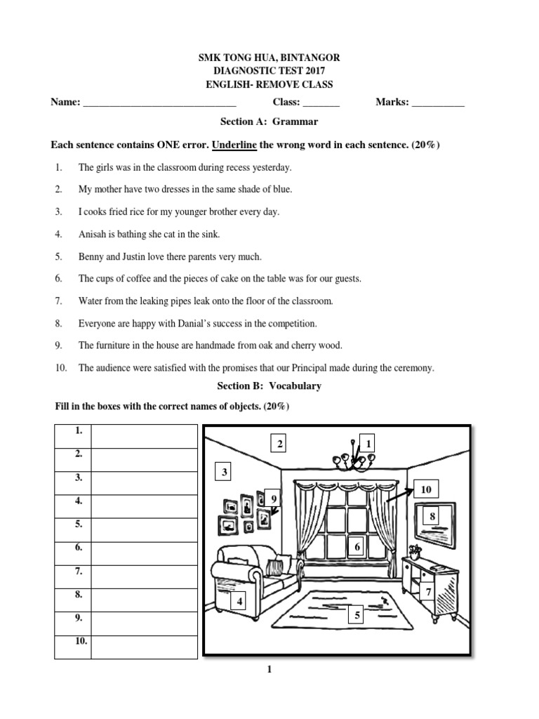 Diagnostic Test for English Grammar Skills | PDF | Pencil | Stationery
