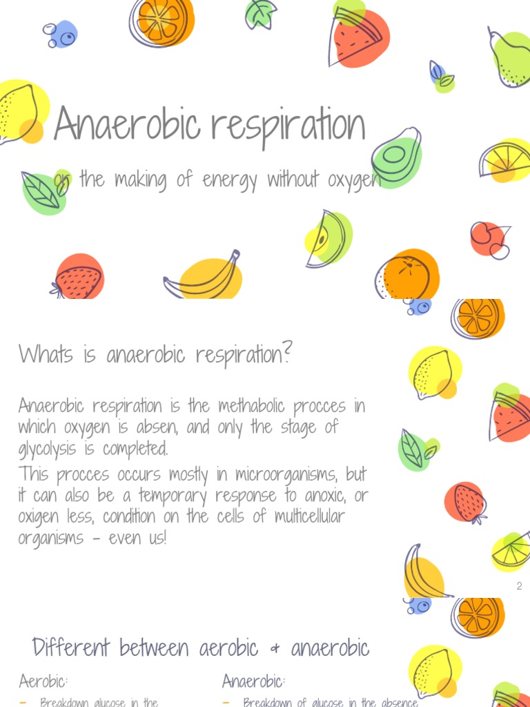 Anaerobic Respiration | PDF | Cellular Respiration | Fermentation
