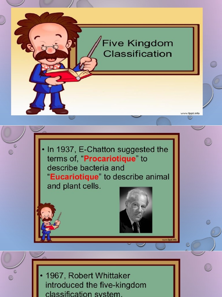 Five Kingdom Classification Overview | PDF | Moss | Plants