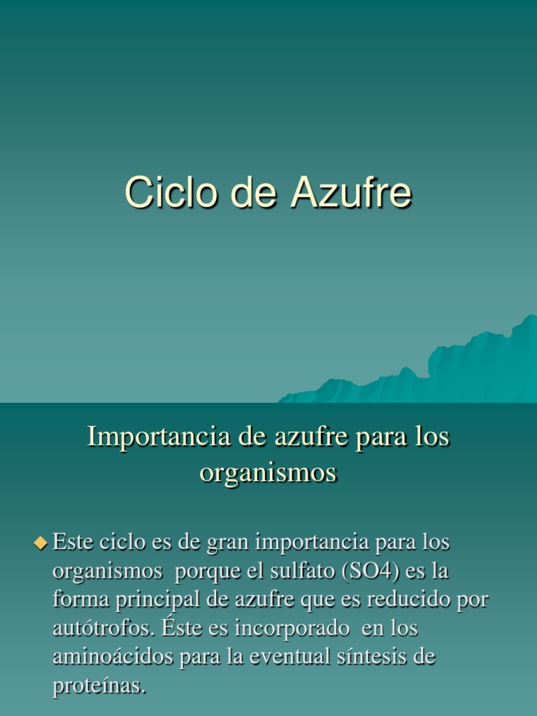 Ciclo Del Azufre | PDF | Azufre | Suelo
