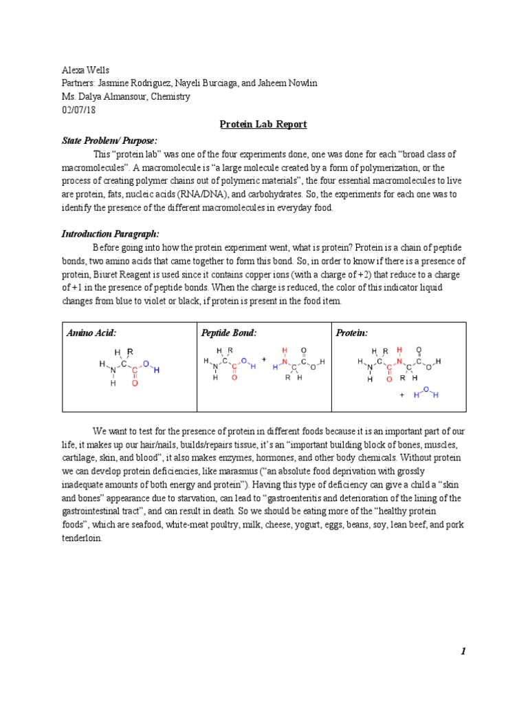 Macromolecules Lab Report | PDF | Macromolecules | Peptide