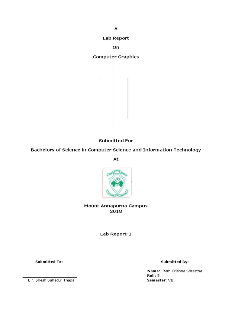 Computer Graphics Lab Report | PDF