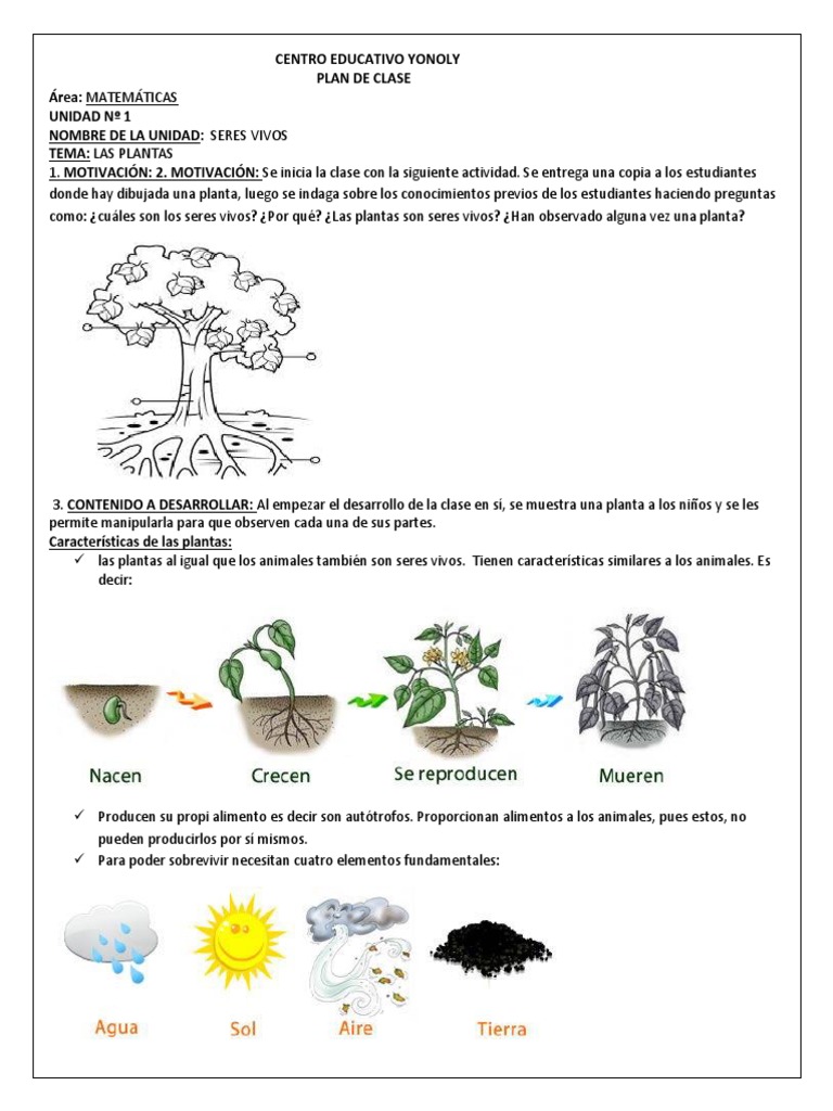 Las Plantas | Raíz | Plantas