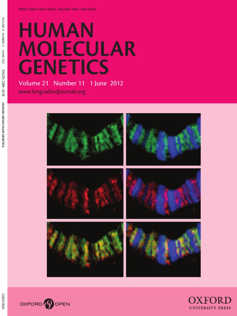 2012 Smarcal1 Human Molecular Genetics PDF | PDF | Histone | Gene