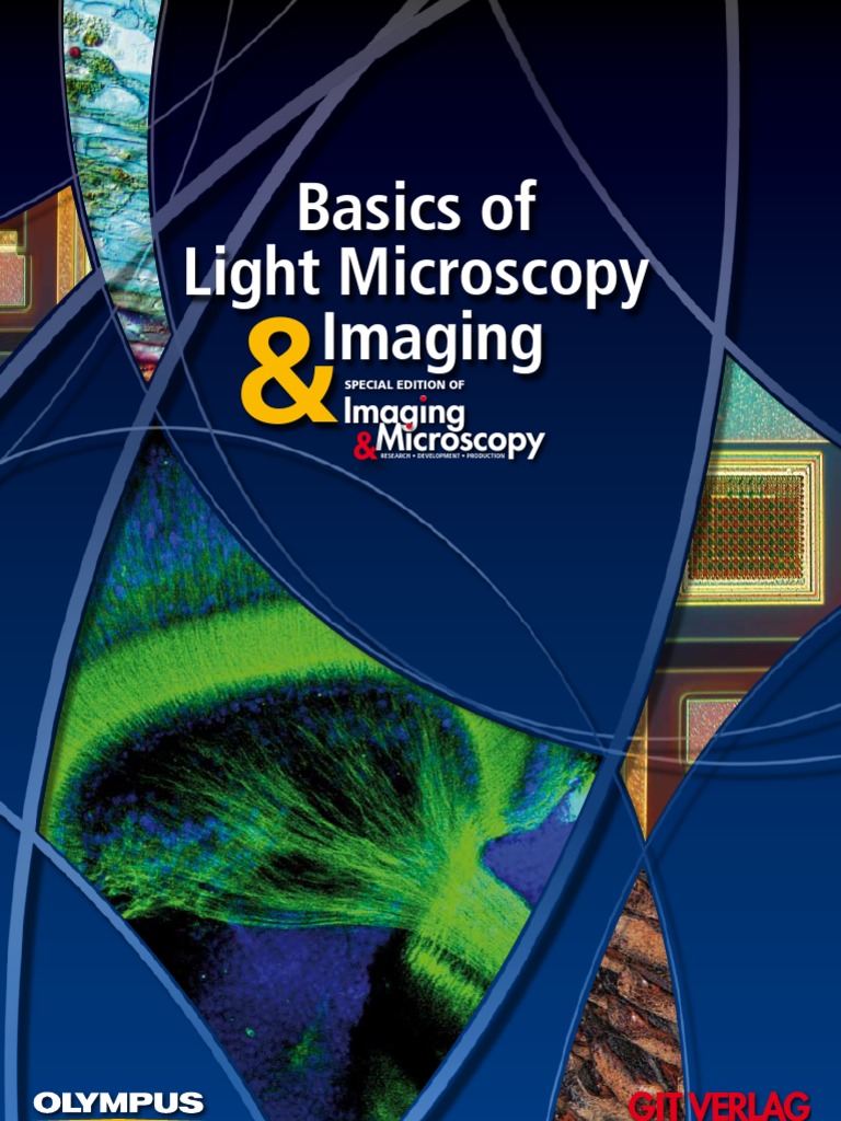 Basics of Light Micros | PDF | Microscopy | Fluorescence Microscope