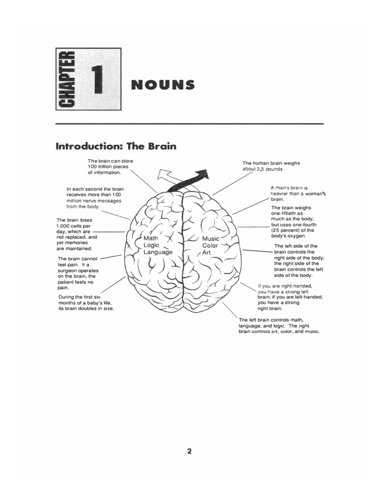 Chapter 1 - Nouns | PDF | Grammatical Number | Noun