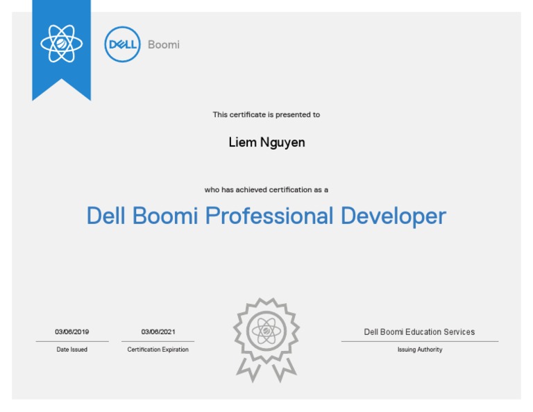 Dell Boomi Professional Developer | PDF