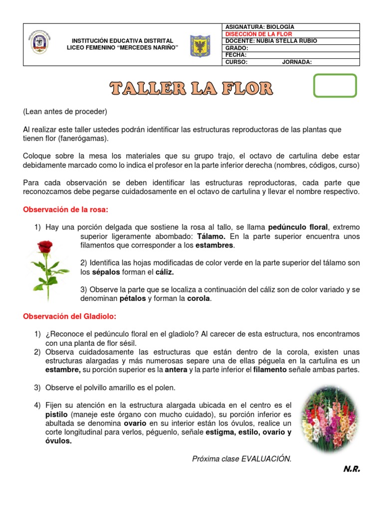 La Flor Taller | PDF | Flores | Horticultura y jardinería