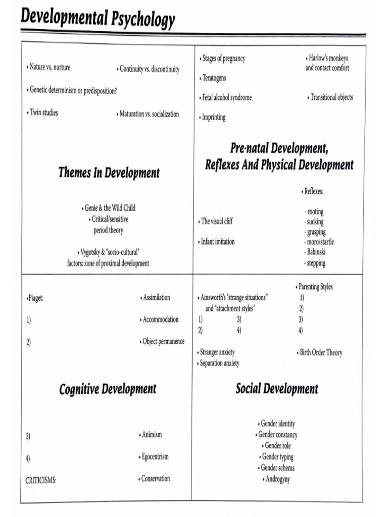 Developmental Graphic Organizer | PDF | Developmental Psychology ...