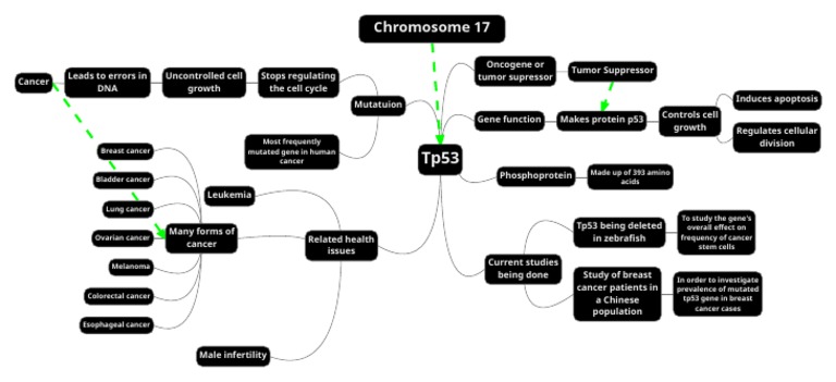 tp53 Concept Map | PDF | P53 | Cellular Processes