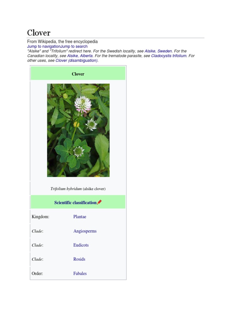 Discover the clover plant | PDF | Clover | Garden Plants