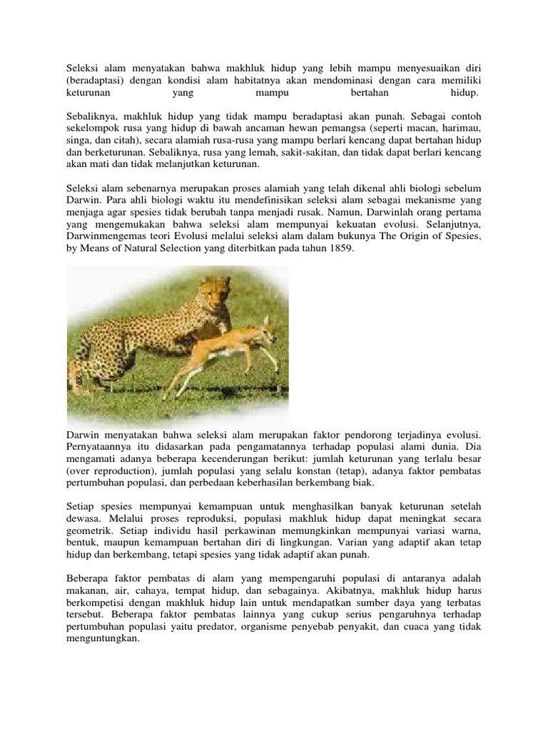 Materi Biologi (SNA) | PDF