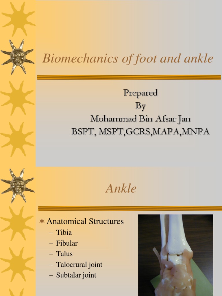Biomechanics of Foot and Ankle | PDF | Foot | Ankle