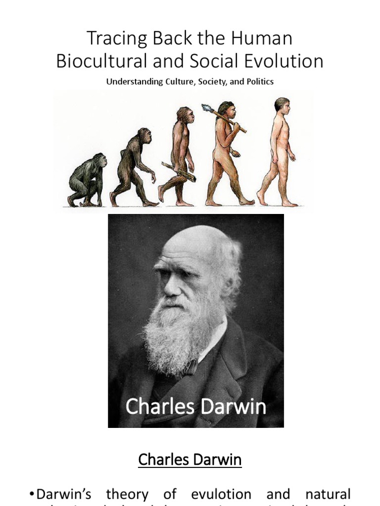 Human Evolution and Hominid Development | PDF | Hominidae | Homo