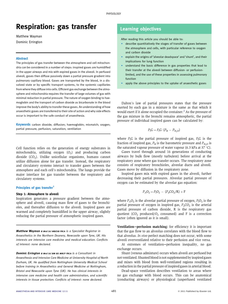 Respiration: Gas Transfer: Learning Objectives | PDF | Respiratory ...