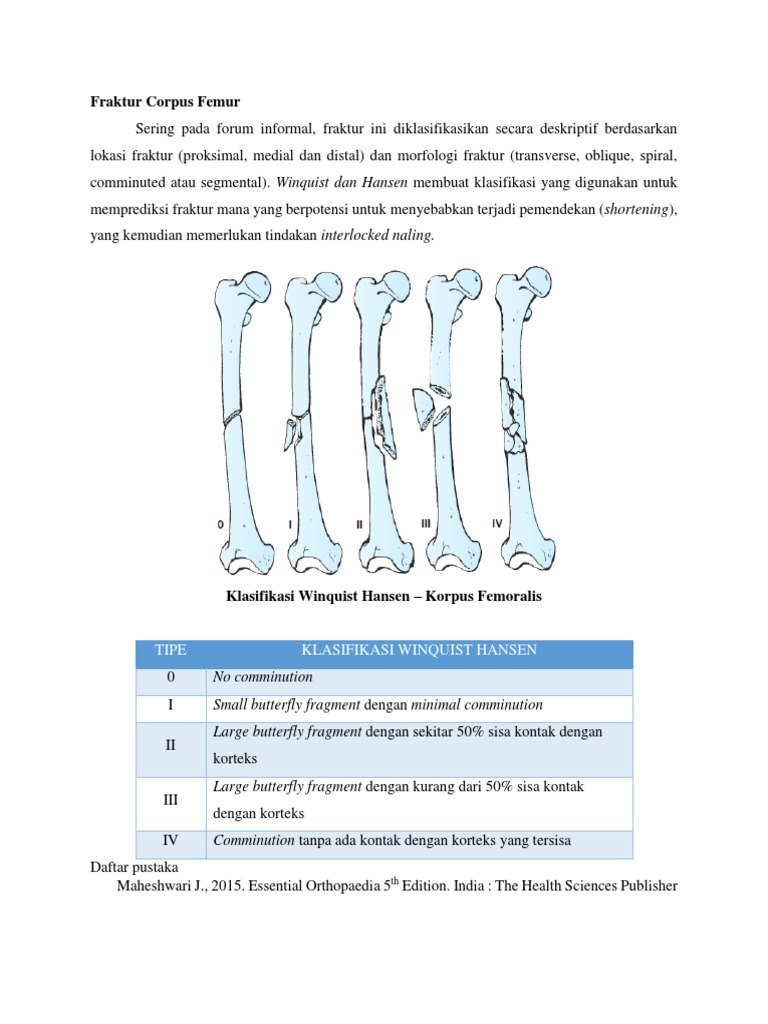 Winquist Hansen | PDF