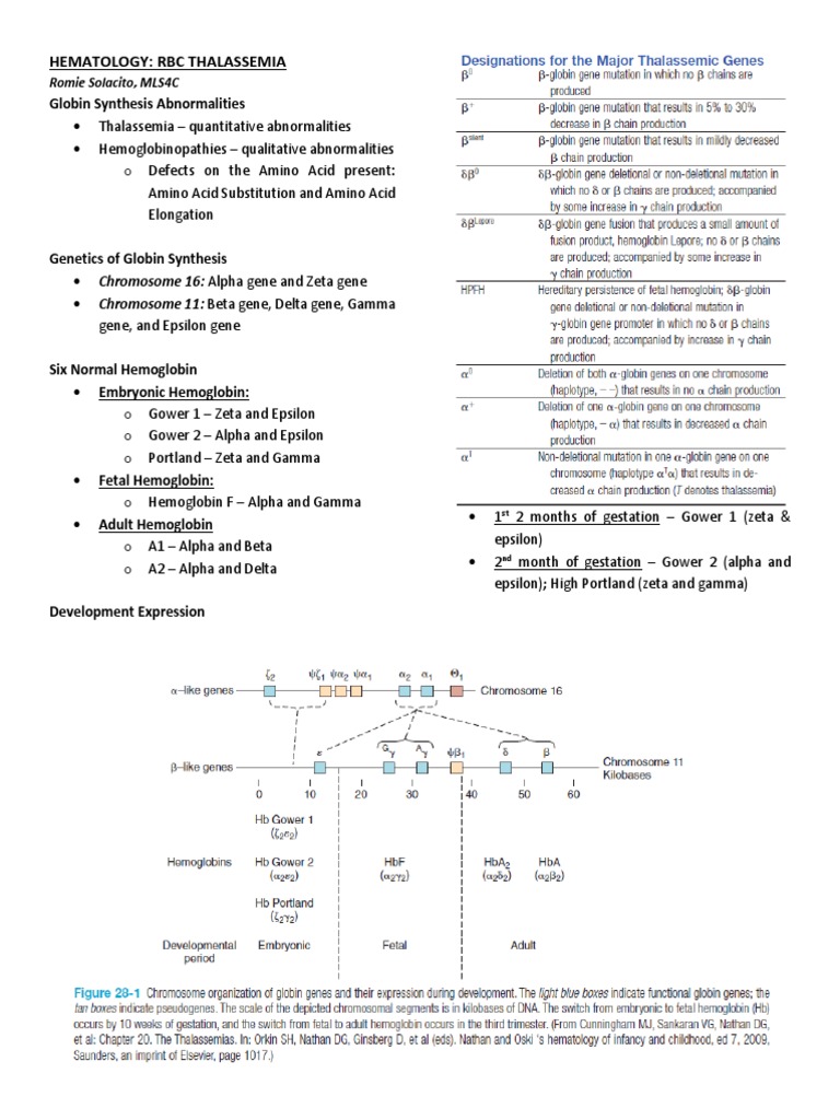 An In-Depth Review of Red Blood Cell Thalassemia: Genetics ...