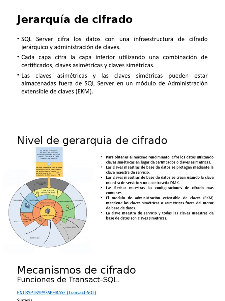 Jerarquía de Cifrado | PDF | Servidor SQL de Microsoft | Clave (criptografía)