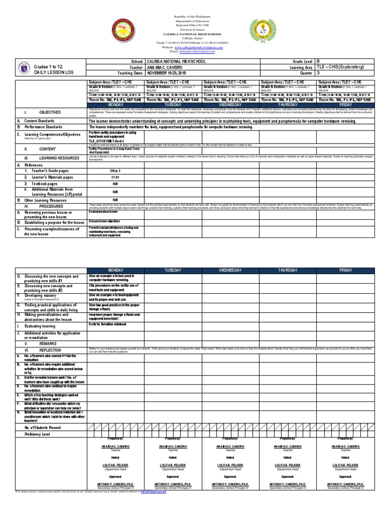 Grade 8 TLE Daily Lesson Log | PDF | Education Theory | Learning