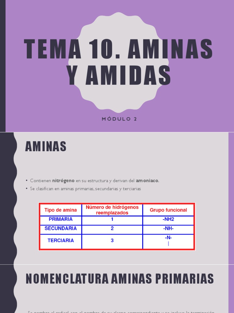 Tema 10. Aminas y Amidas | PDF | Amina | Amida